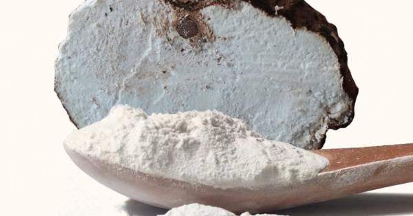 Organic Ground Poria Cocos Mushroom Powder Wholesale - QIN SHAN TANG