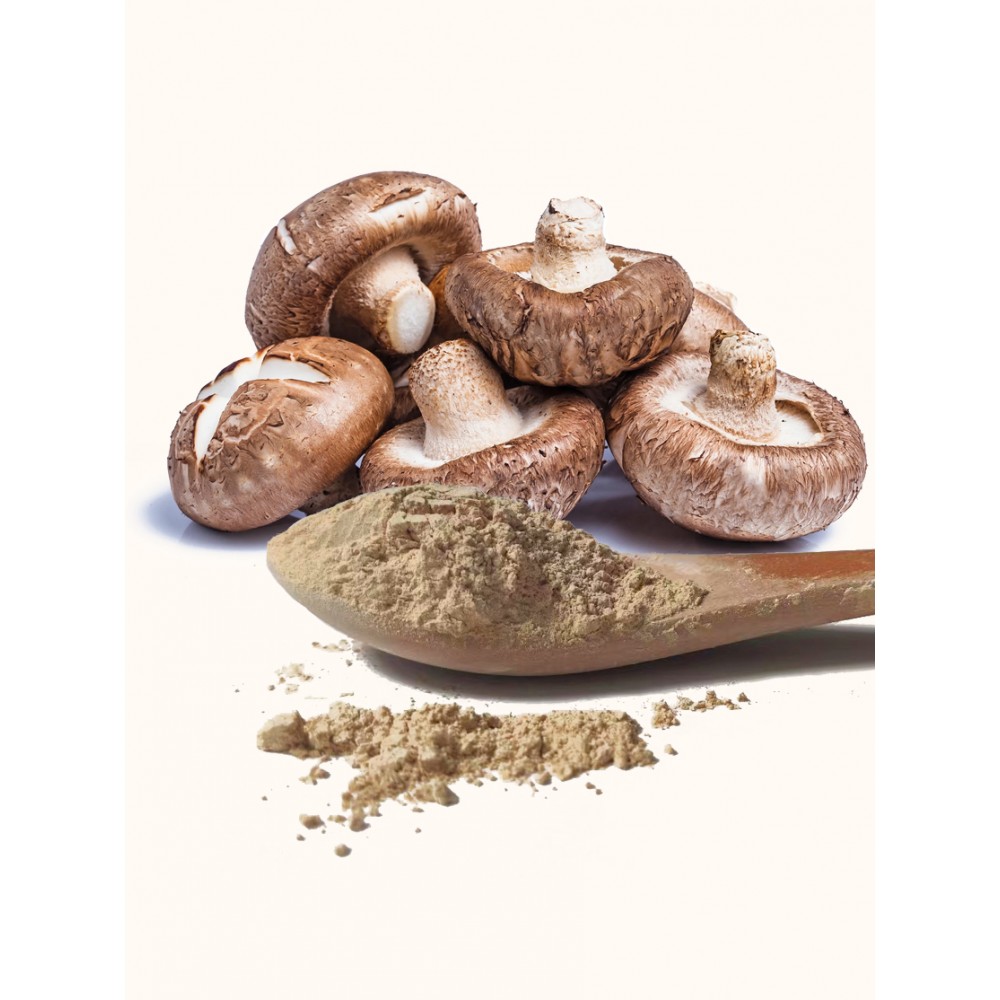 Organic Ground Shiitake Mushroom Powder Wholesale - QIN SHAN TANG