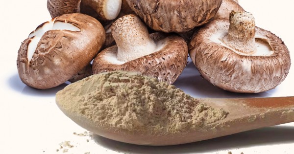 Organic Ground Shiitake Mushroom Powder Wholesale - QIN SHAN TANG