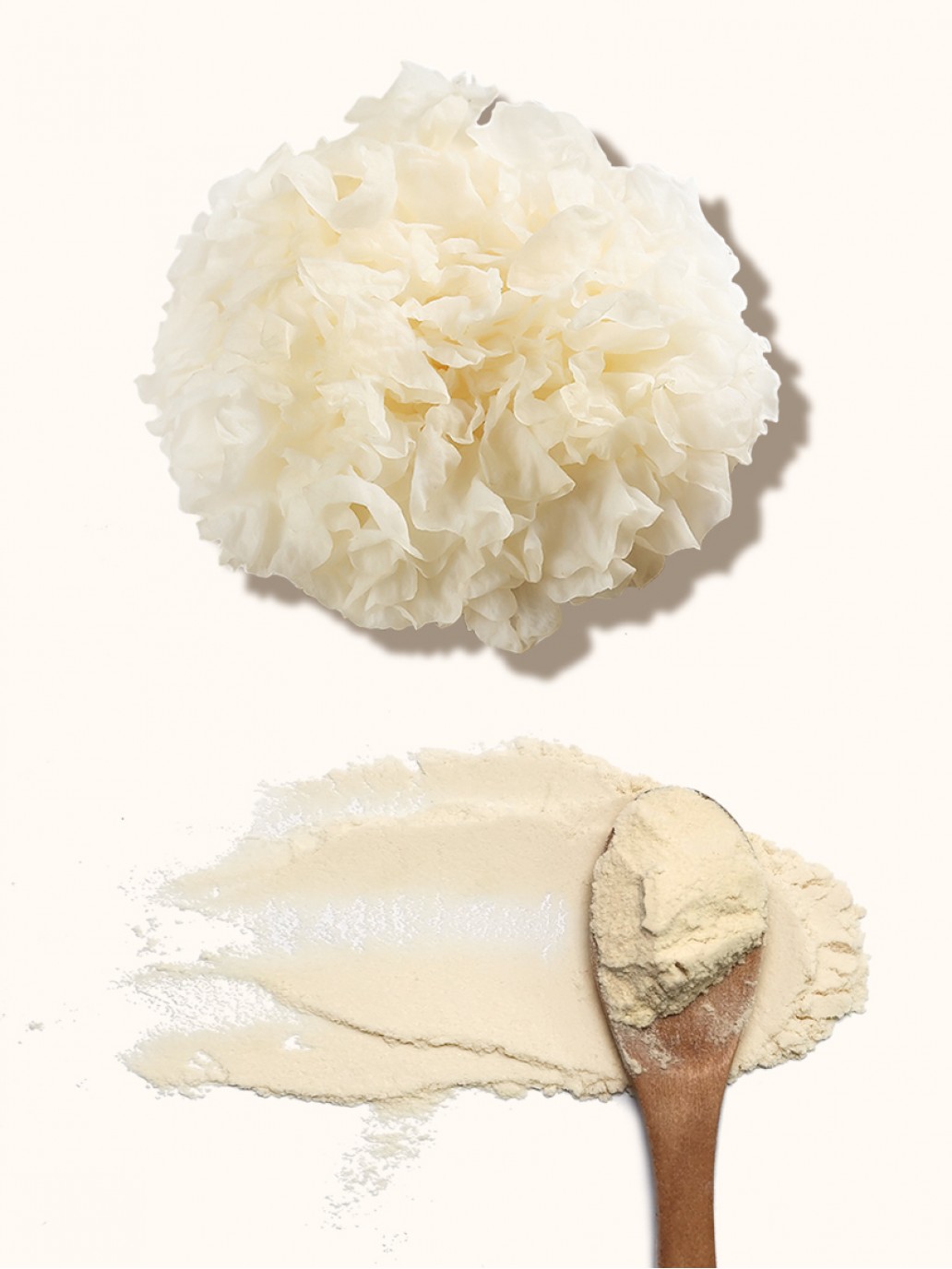 Organic Tremella Mushroom Extract Powder Wholesale - QIN SHAN TANG